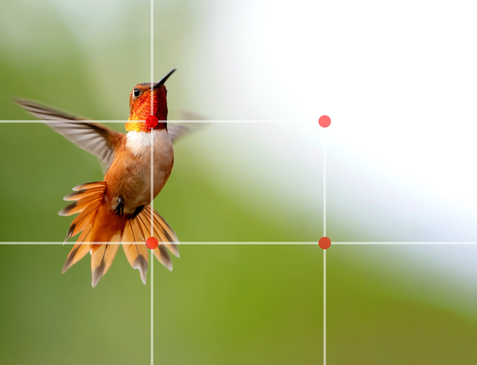 Composición fotográfica | Reglas y leyes